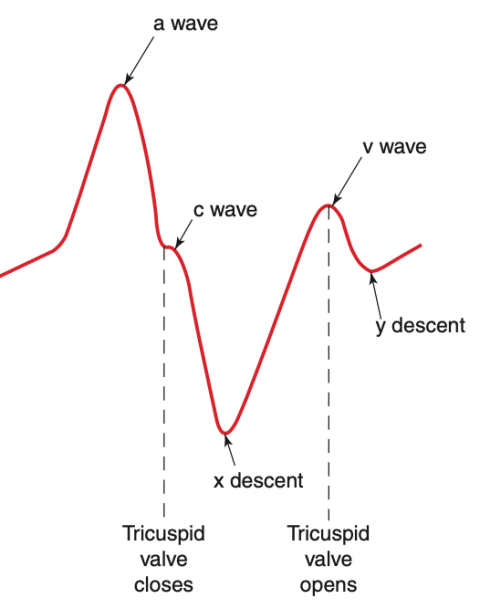 Part 3: Approach to the patient with complaints | Project Tulip Academy