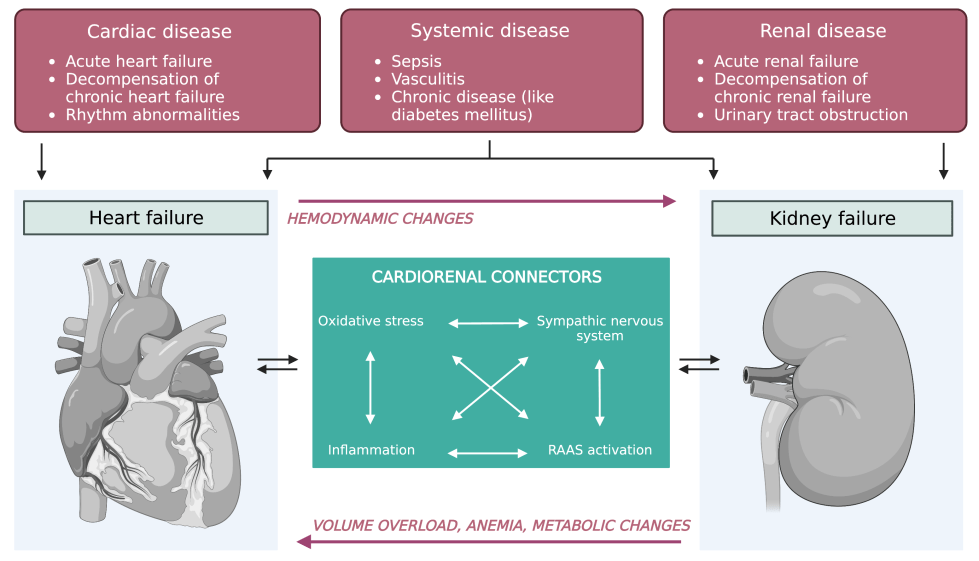 Part 2: Diseases | Project Tulip Academy