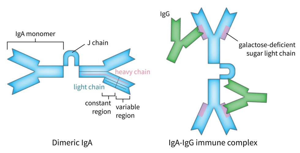 Part 2: Diseases | Project Tulip Academy