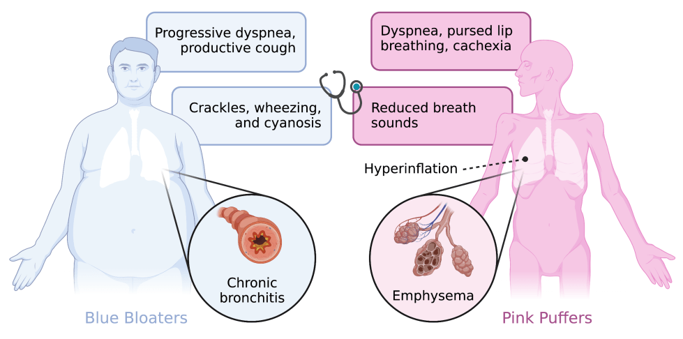 Part 2: Diseases | Project Tulip Academy